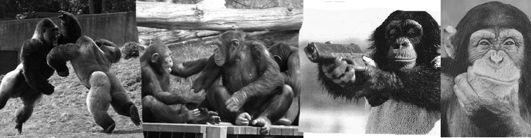 The Evolution of Human Behavior? – Realm of the SCENSCI